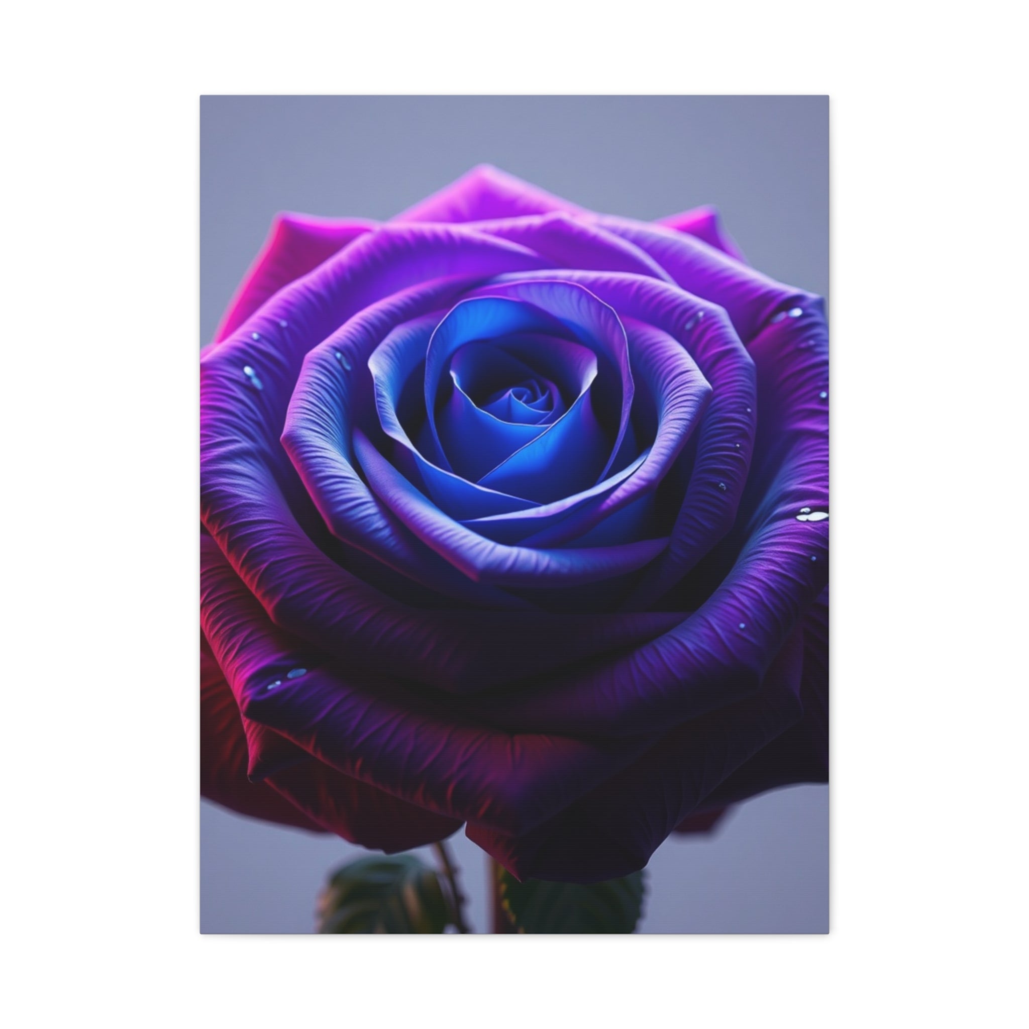 Elite Rose Art Vision Wall Art & Canvas Print – Wallpics