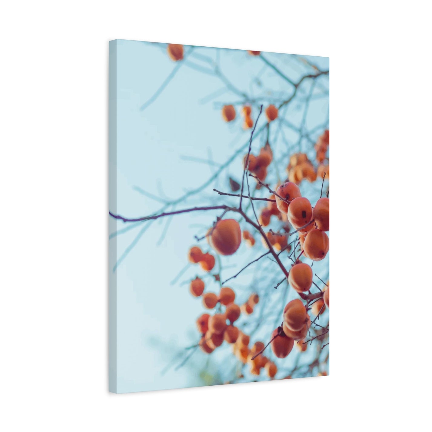 Persimmon Wall Art & Canvas Prints - Wallpics.com